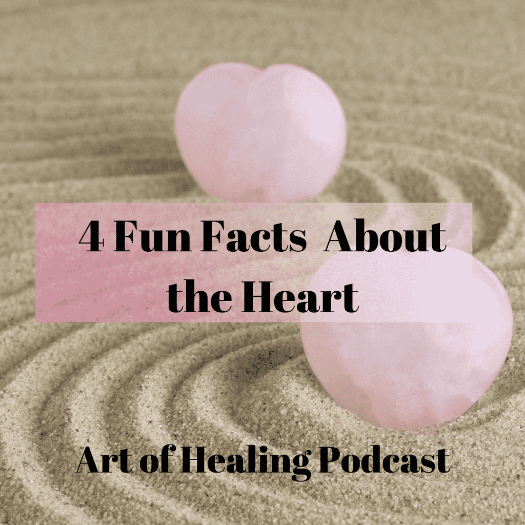 4 Facts to Know about the Heart - Healing Arts Health and Wellness